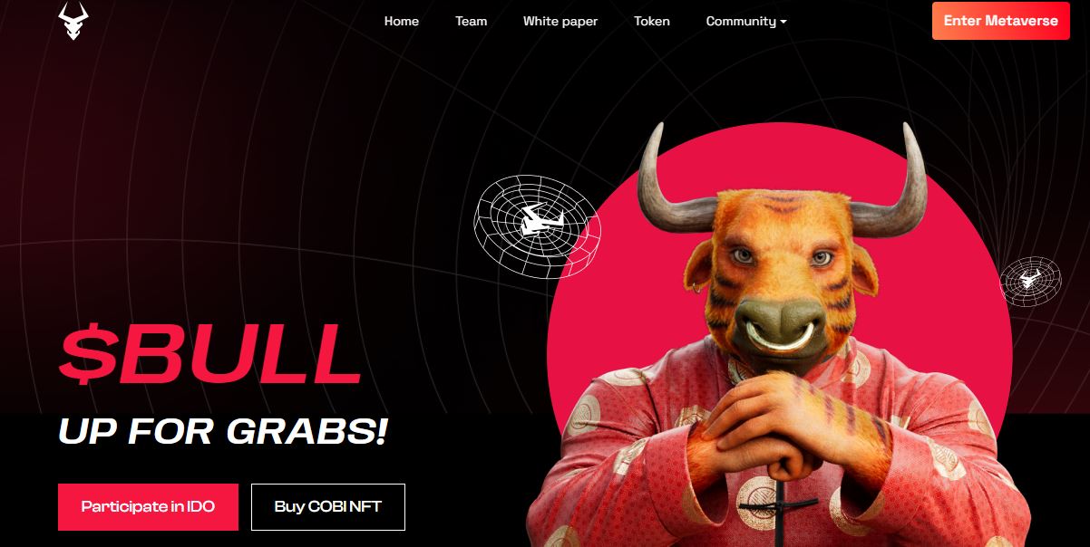 Bullieverse là gì? Thông tin chi tiết dự án Bullieverse