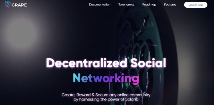 Grape Protocol là gì? Toàn tập về tiền điện tử GRAPE