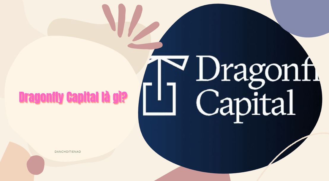 Dragonfly Capital là gì? Danh mục đầu tư của Dragonfly Capital