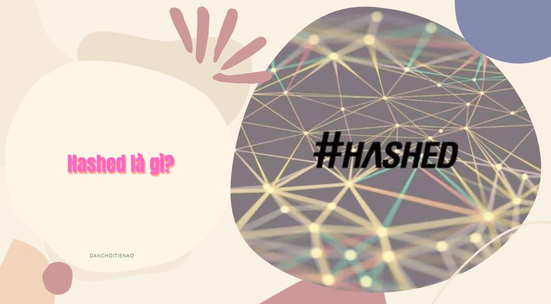 Hashed là gì? Xu hướng đầu tư của quỹ Hashed