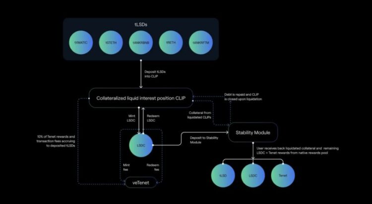 Tenet Protocol là gì? Blockchain Layer 1 dành cho các tài sản LSD